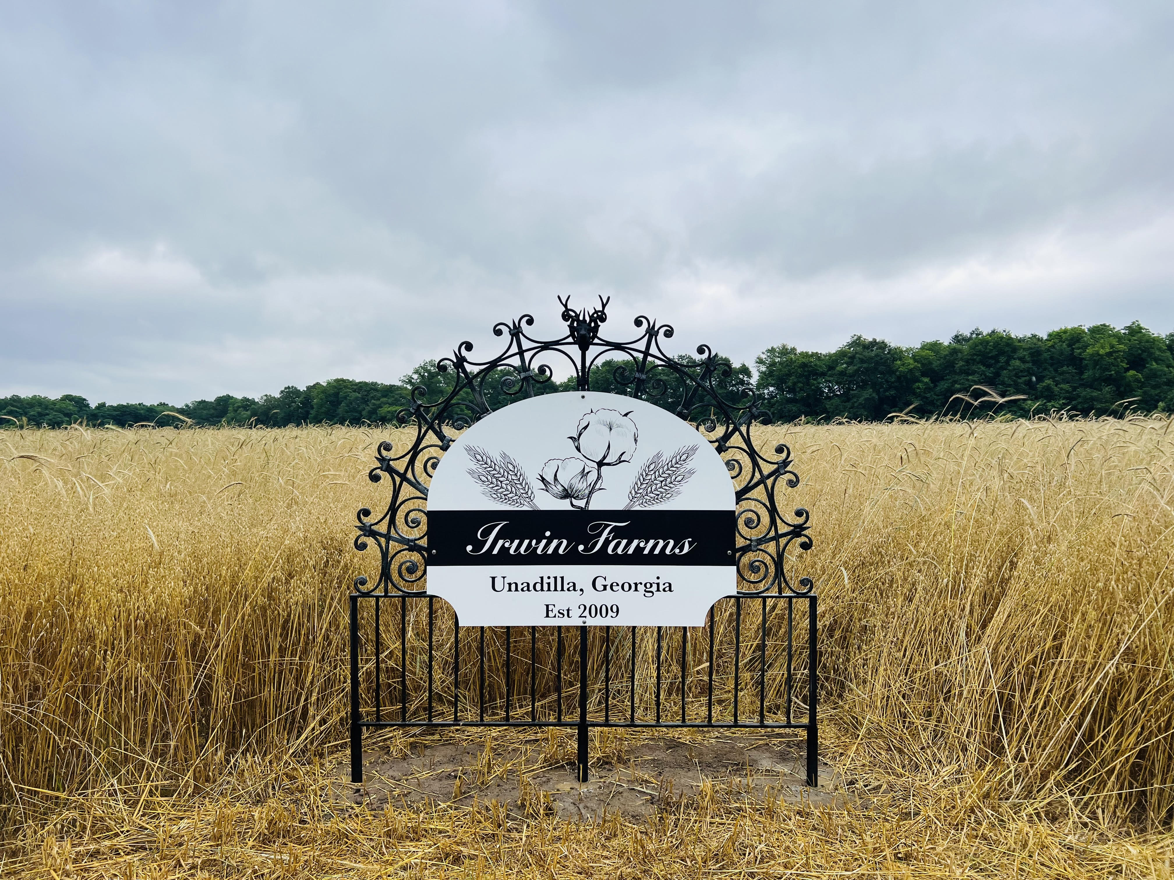Georgia's #1 Bulk Wheat Straw Supplier | Irwin Farms