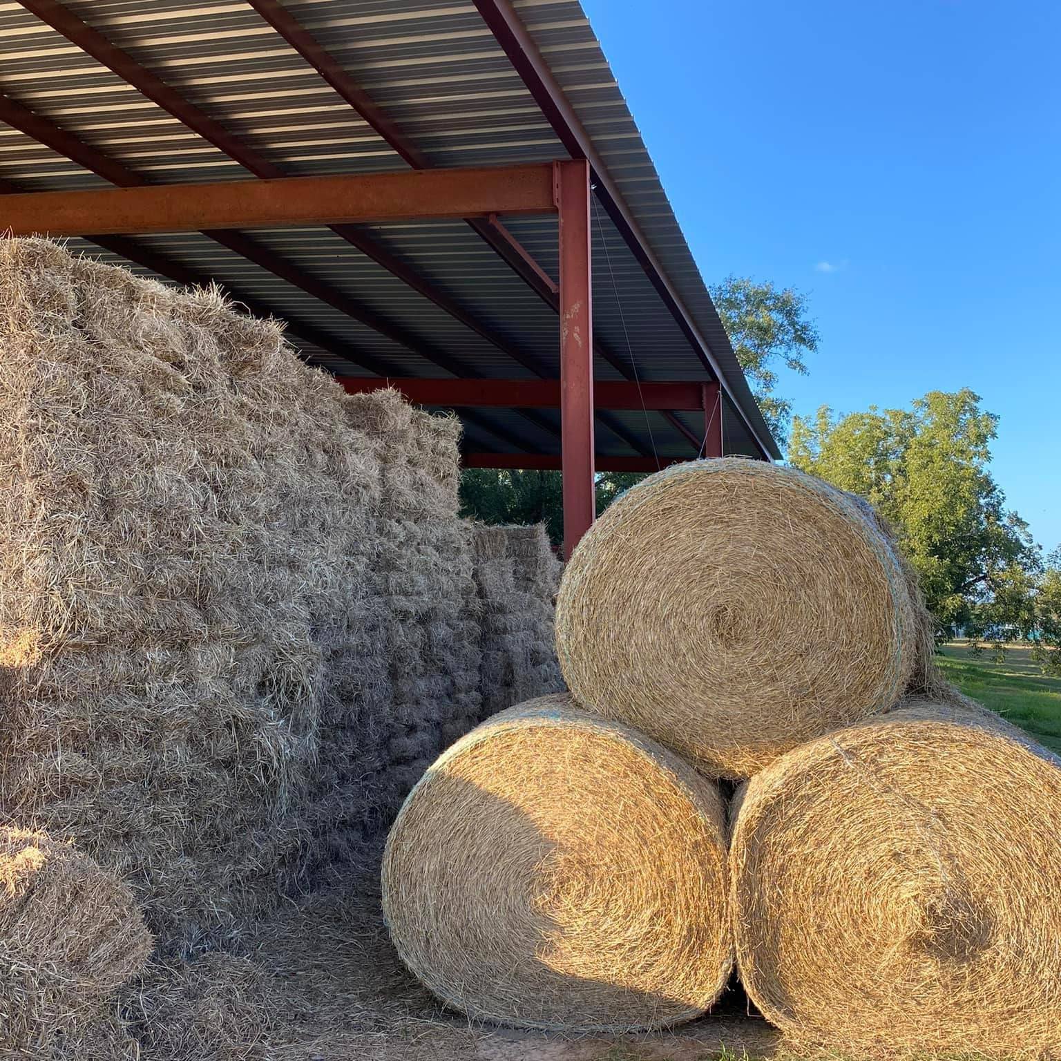 Georgia's #1 Bulk Wheat Straw Supplier | Irwin Farms